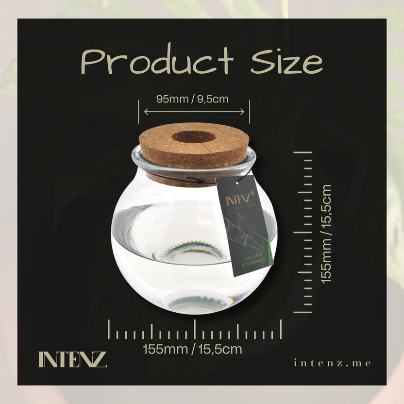 Intenz | Exclusive plants for modern living | Webshop – intenz